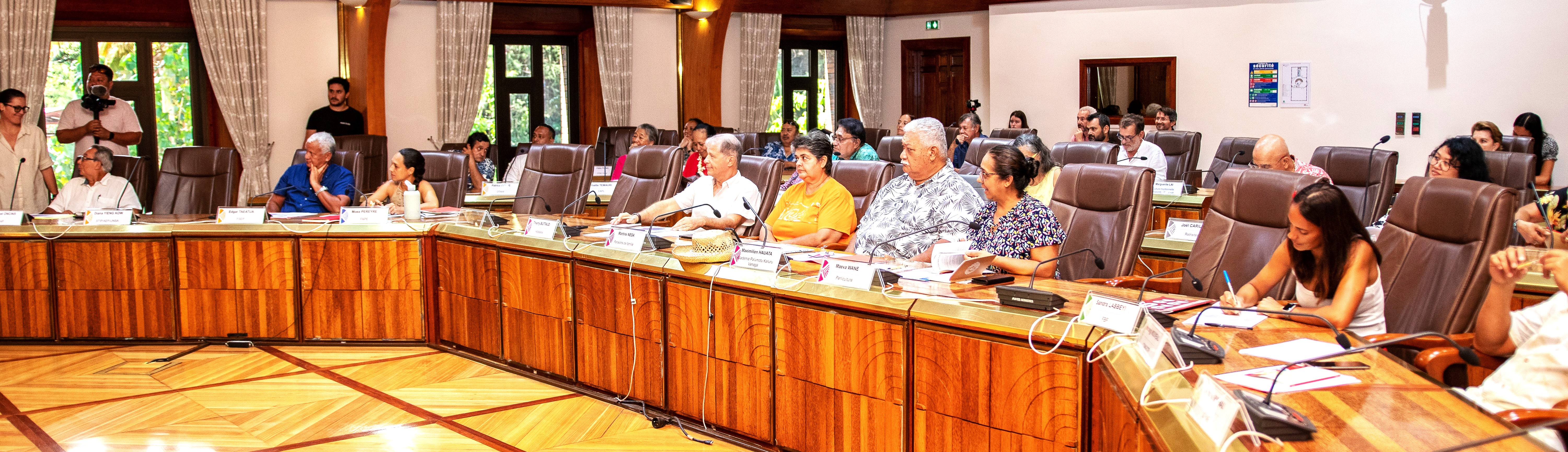 L Assemblée Plénière Cesec